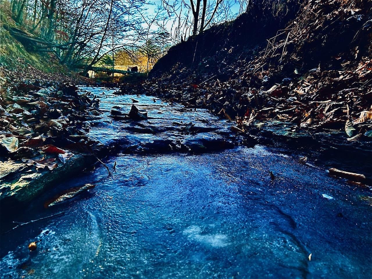 420 Mize Branch Rd, Manchester, KY 40962 | Zillow