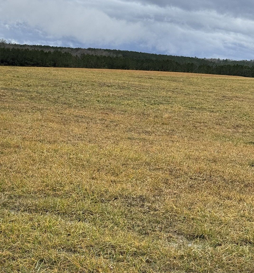 0 Equine Way LOT 81-E, Spencer, TN 38585 | Zillow