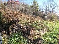 390 Dry Rd, Speedwell, VA 24374 | Zillow