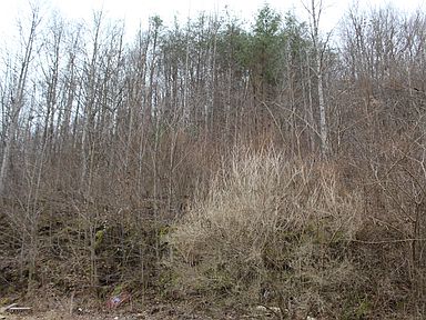 6726 State Highway 66, Arjay, KY 40902 | Zillow