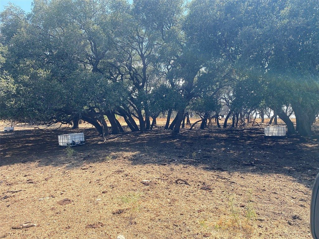 Fm 218, Priddy, TX 76870 | Zillow