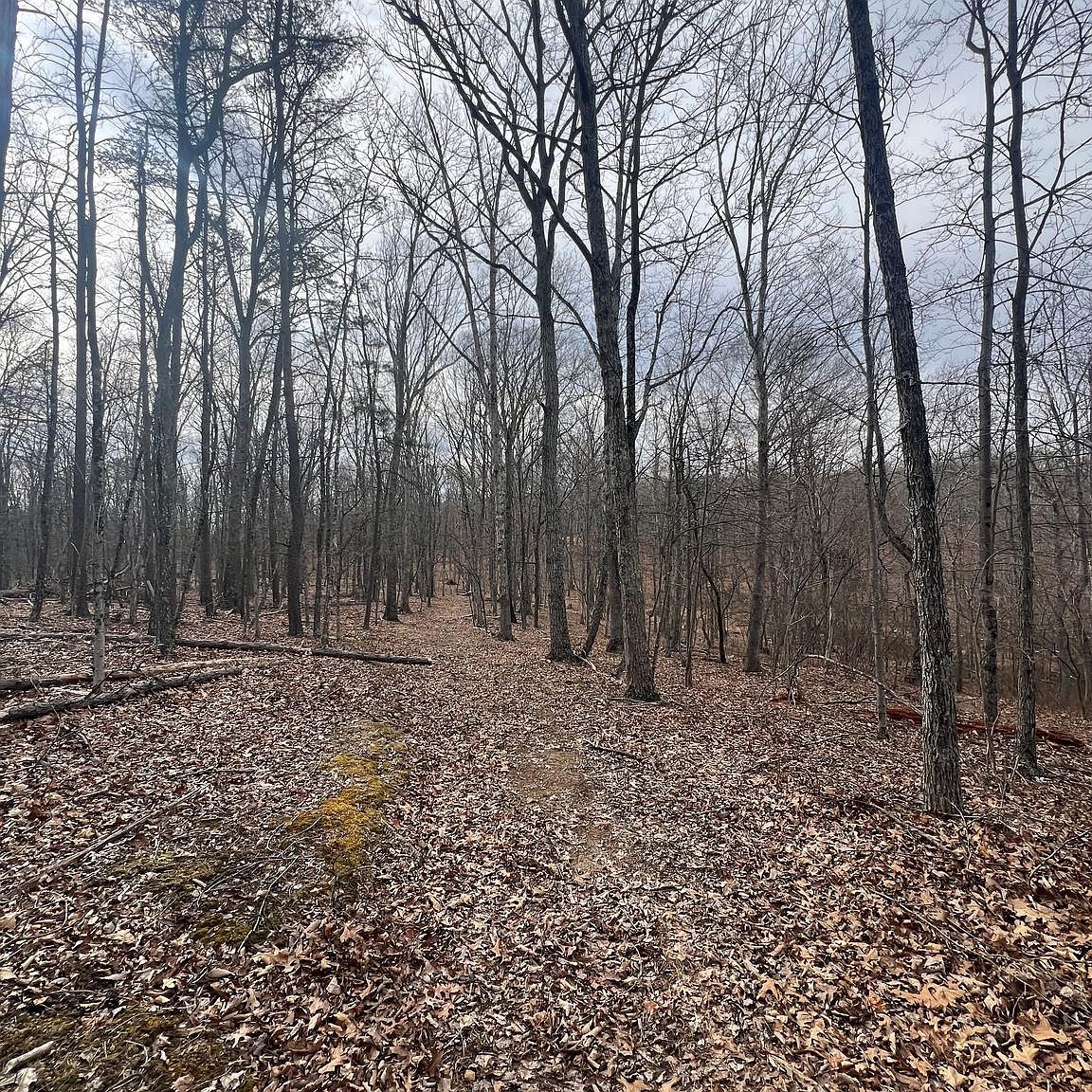 88 Wakeman Dr, Augusta, WV 26704 | MLS #WVHS2005908 | Zillow