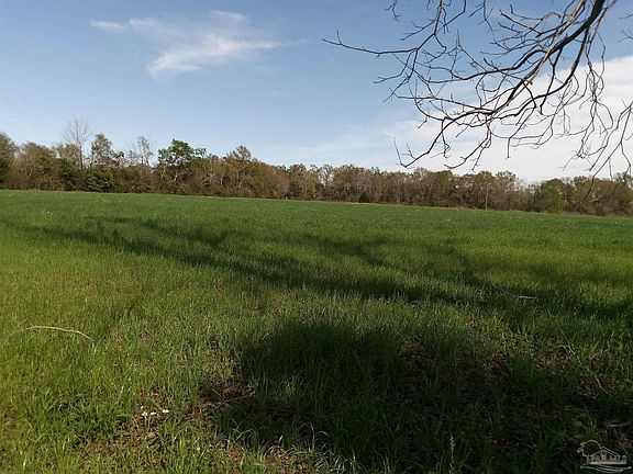 7200-7200 Chestnut Rd, Molino, FL 32577 | MLS #641663 | Zillow