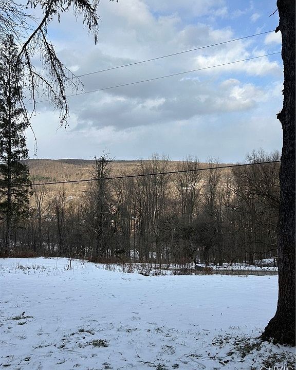 3023 W River Rd Lot 3, Cortland, NY 13045 | Zillow