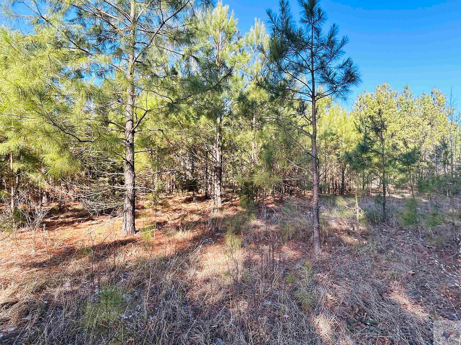 0 Trexler Rd, Texarkana, TX 75501 | Zillow