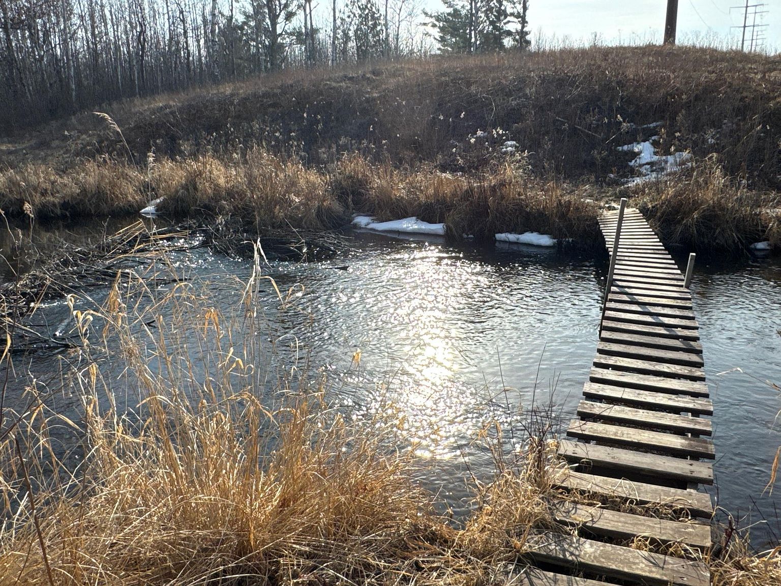 N10501 County Highway M, Springbrook, WI 54875 | MLS #6699382 | Zillow