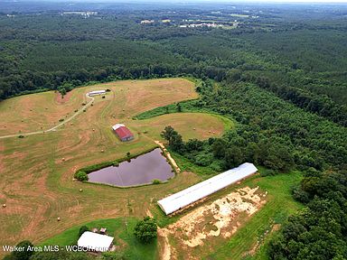 21638 County Road 41, Addison, AL 35540 | Zillow