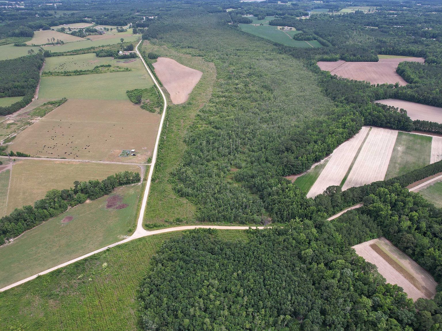 TBD FC Cox Rd., Hemingway, SC 29554 | MLS #2401414 | Zillow