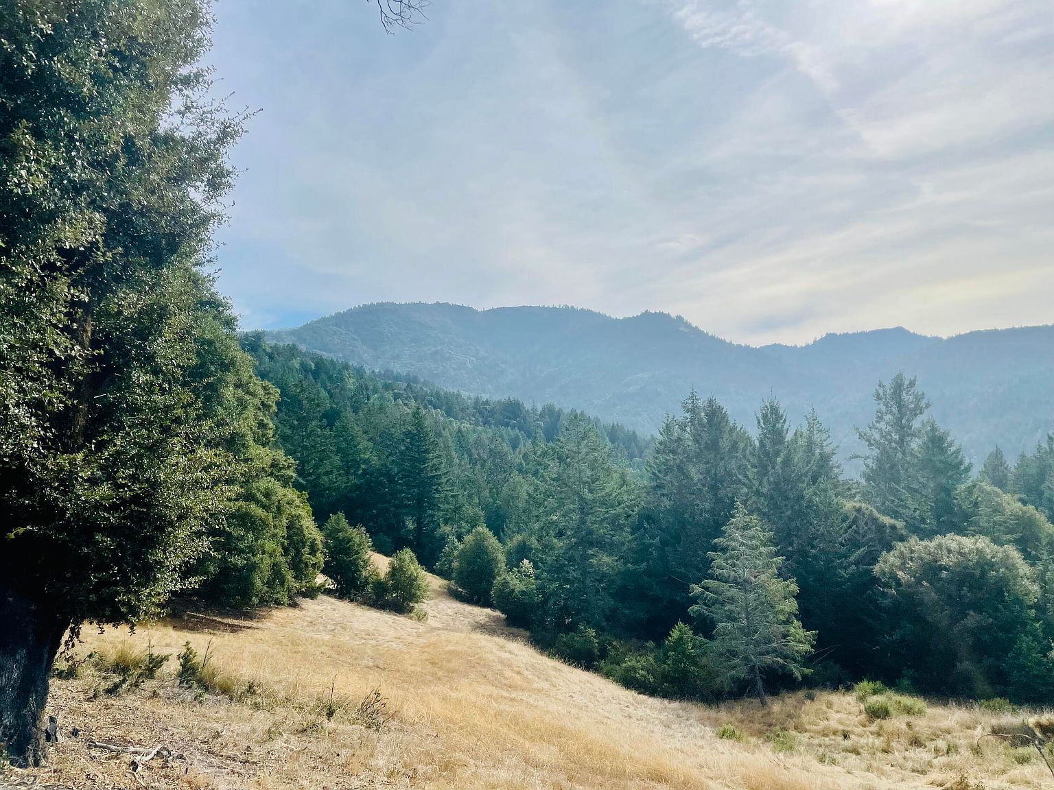 71300 Arnett Dr, Leggett, CA 95585 | MLS #263234 | Zillow