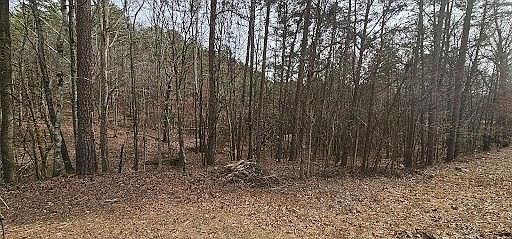 0 Connesena Rd #3, Kingston, GA 30145 | MLS #7346072 | Zillow