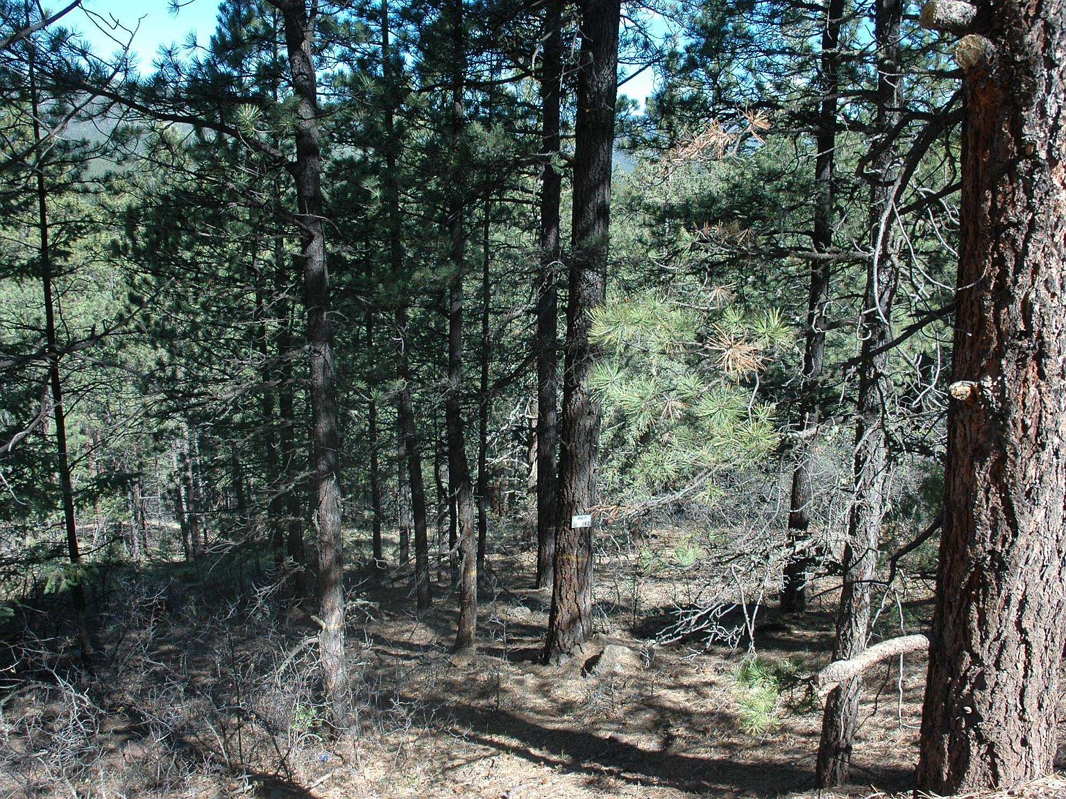 162 Vail Ave, Angel Fire, NM 87710 | MLS #112092 | Zillow