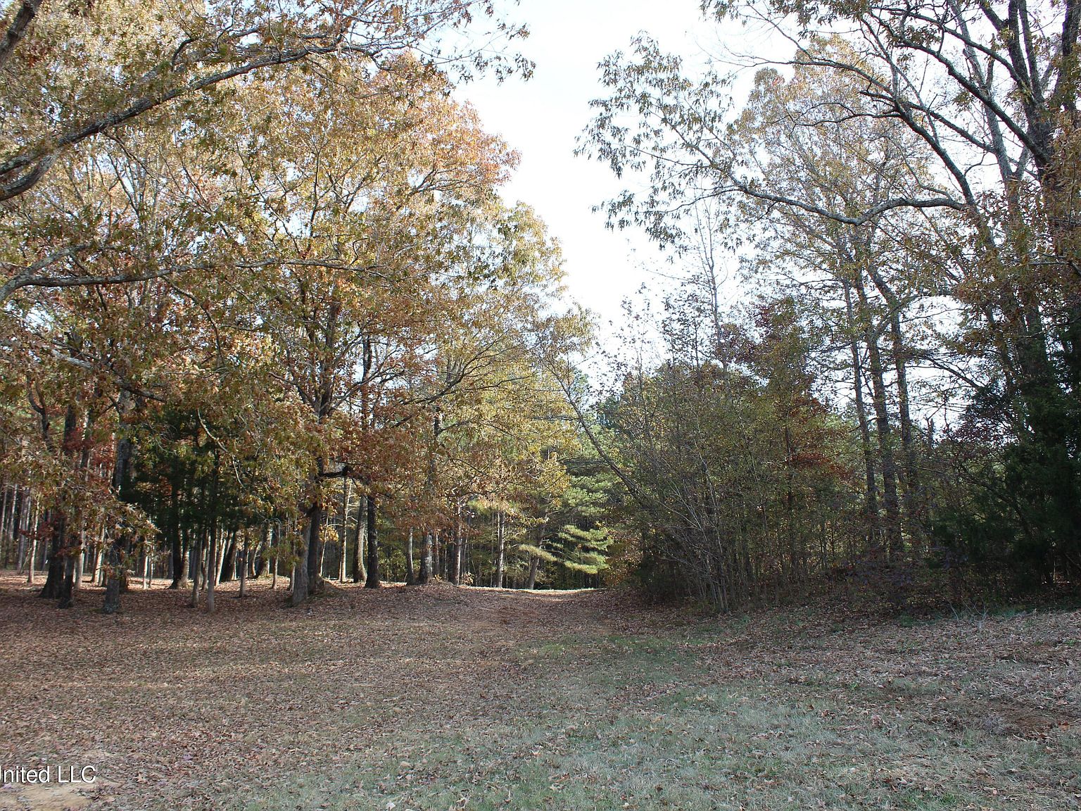 2601 S Slayden Rd, Lamar, MS 38642 | MLS #4098349 | Zillow