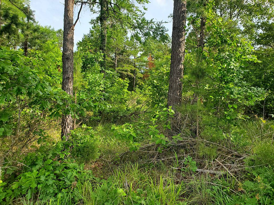 45 State Highway 3 TRACT 4, Antlers, OK 74523 | MLS #11110573 | Zillow