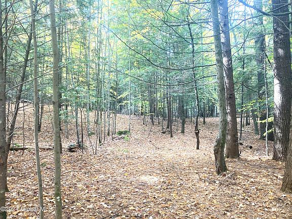 103 Edgecomb Pond Road, Bolton Landing, NY 12814 | MLS #202427456 | Zillow