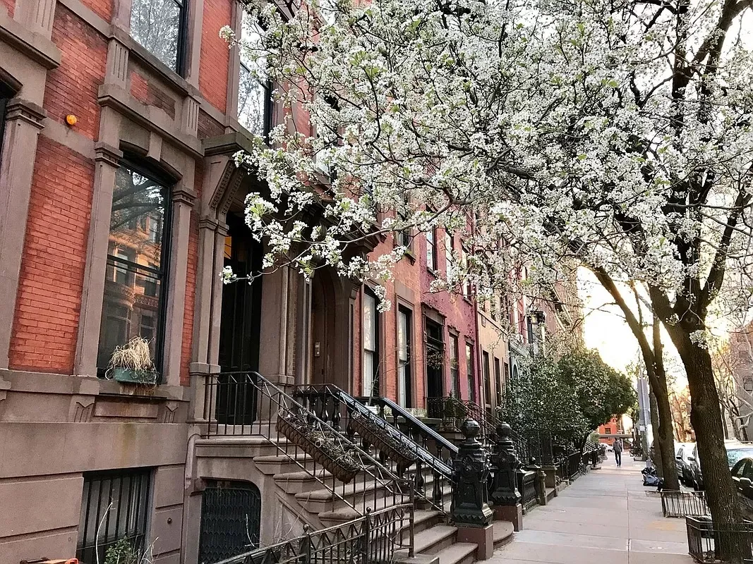 98 Remsen Street GRDN-LEVEL in Brooklyn Heights, Brooklyn | StreetEasy