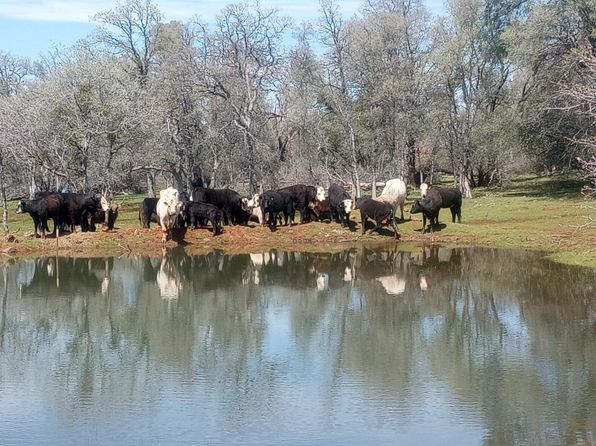 Millville CA Real Estate - Millville CA Homes For Sale | Zillow