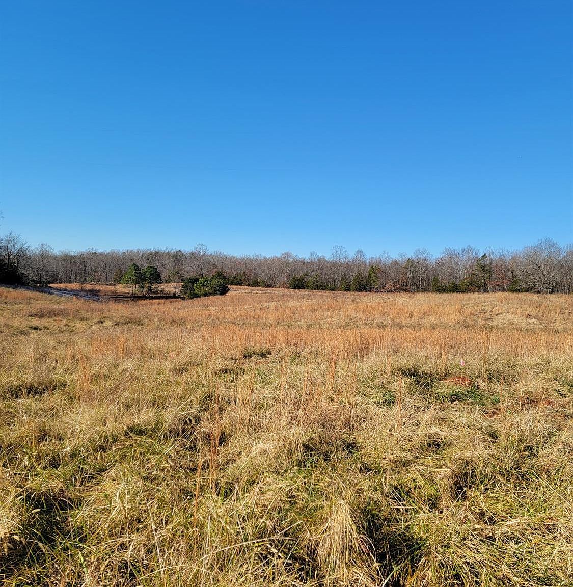 17 Down Creek Rd, Brookneal, VA 24528 | Zillow