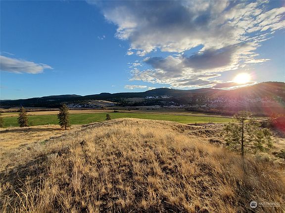 0 Lot 9 State Route 20 & Aeneas Valley Road, Tonasket, WA 98855 | MLS ...
