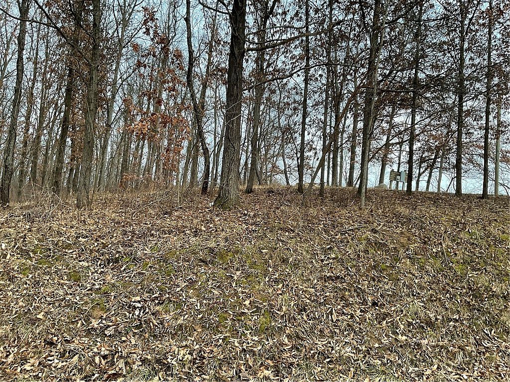 1702-1100 East Rd, Tower Hill, IL 62571 | Zillow