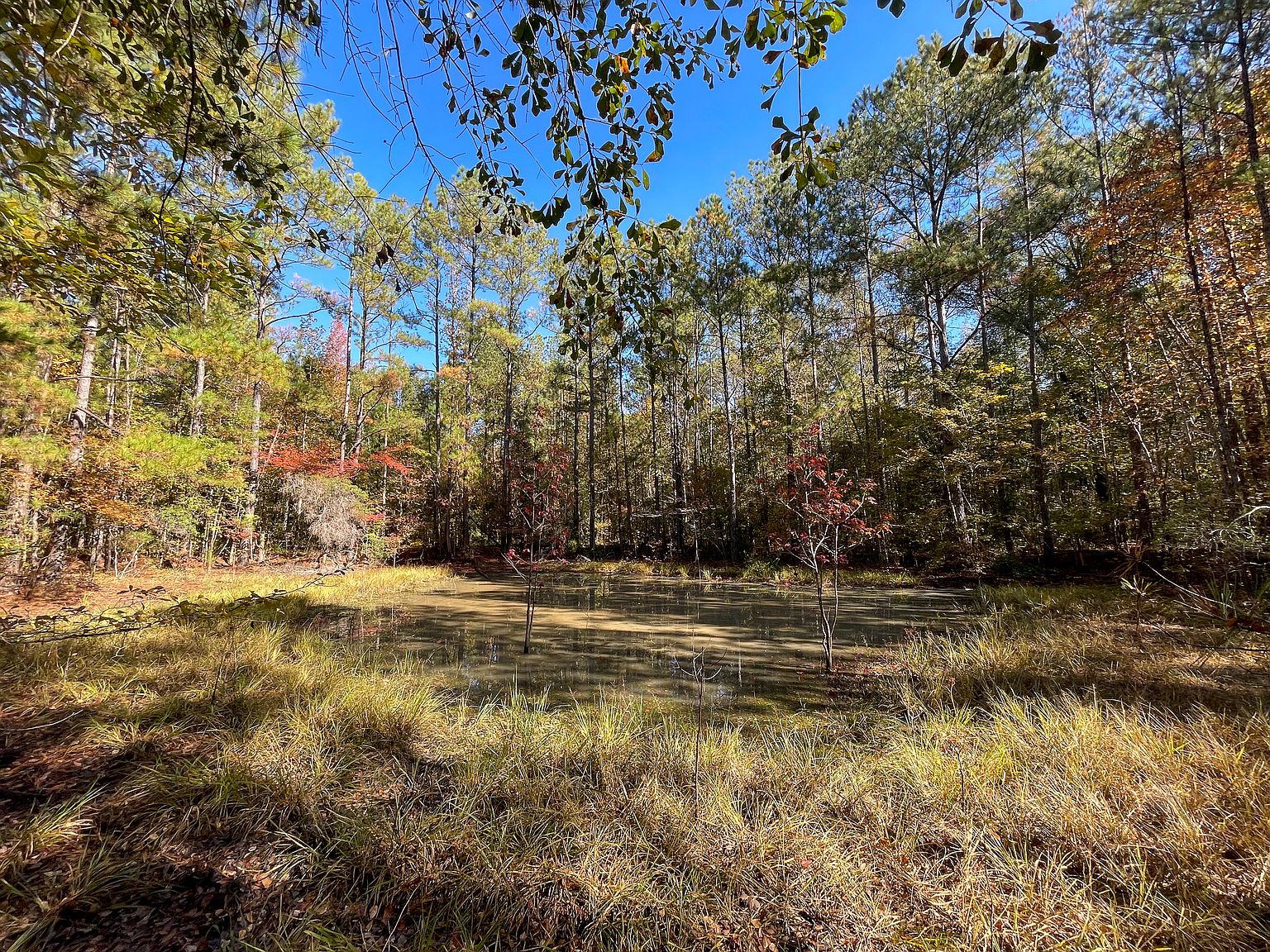 5379 Highway 431, Pittsview, AL 36871 | Zillow