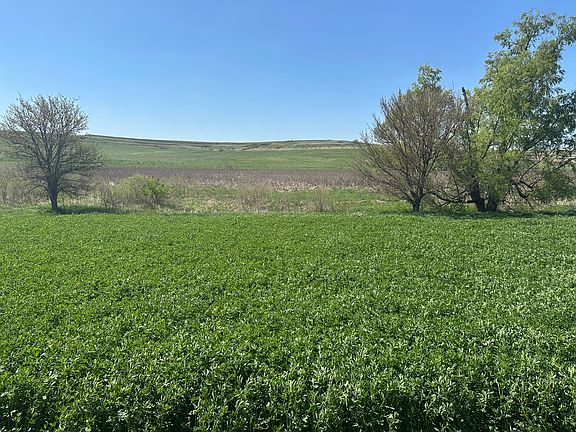 33413 Cary Ave, Silver City, IA 51571 | MLS #11252485 | Zillow