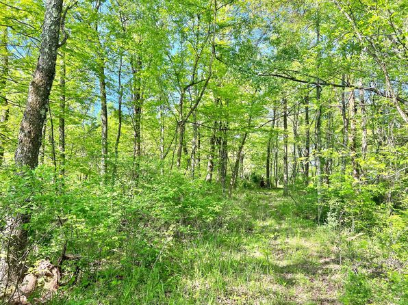Wetzel County WV Real Estate - Wetzel County WV Homes For Sale | Zillow