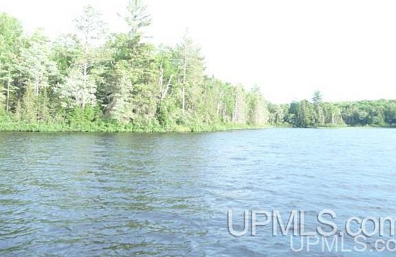 Cable Lake Rd, Amasa, MI 49903 | Zillow