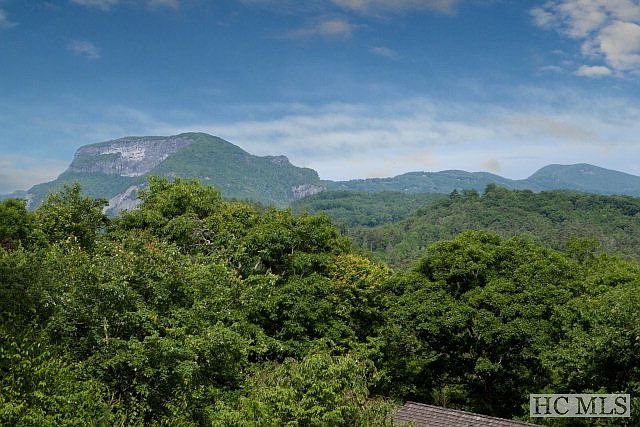 291 Cherokee Trce, Sapphire, NC 28774 | Zillow