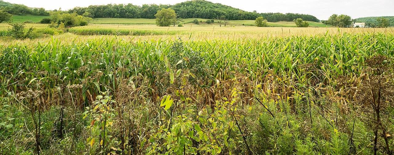 34.71 acres Highway 131, Wilton, WI 54670 | MLS #1963571 | Zillow