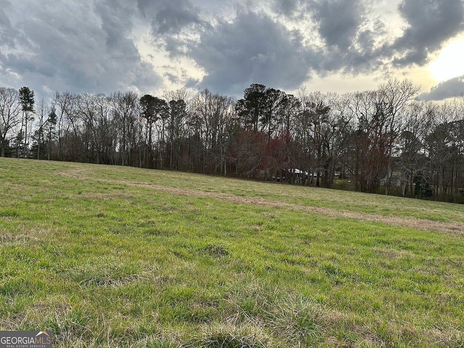 0 Bowdon Tyus Rd TRACT 3, Bowdon, GA 30108 | MLS #10471689 | Zillow
