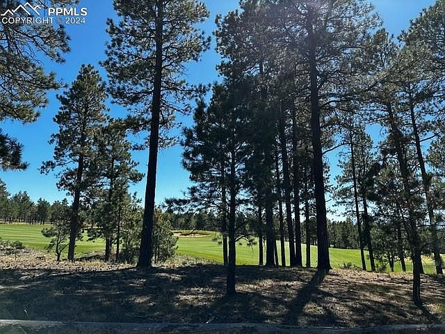 14671 Allen Ranch Rd, Colorado Springs, CO 80908 | MLS #1111542 | Zillow