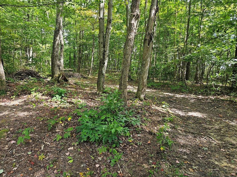 Cartwright Rd, Rowe, VA 24646 | Zillow