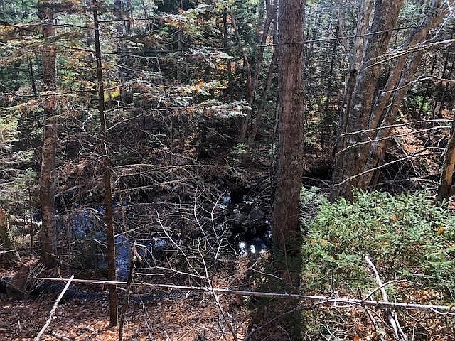 Unique Off-Grid Property with 20.78 Acres and Babbling Brook in Nova Scotia – Priced Under $68K ...