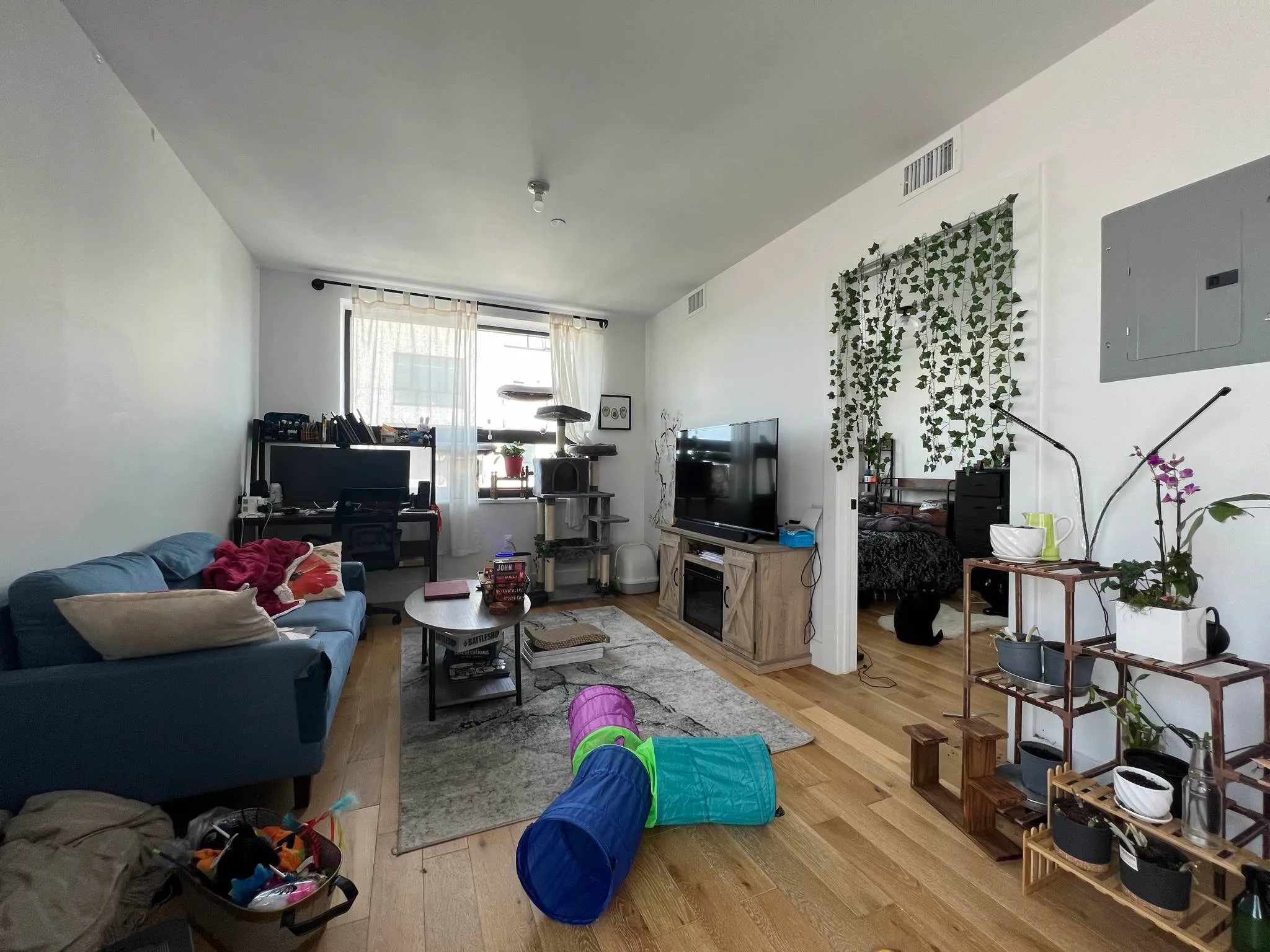 503 Evergreen Avenue #5C in Bushwick, Brooklyn | StreetEasy