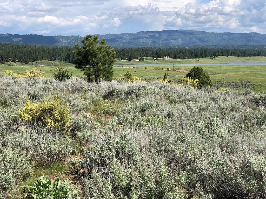 64 Joshua Dr, Cascade, ID 83611 | Zillow