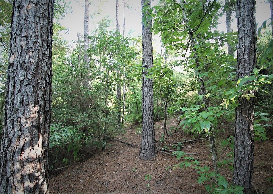 Fm 2869, Hawkins, TX 75765 | Zillow