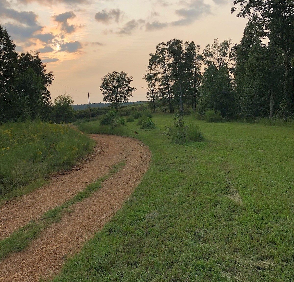 459 Overhead Bridge Rd, Hampshire, TN 38461 | Zillow