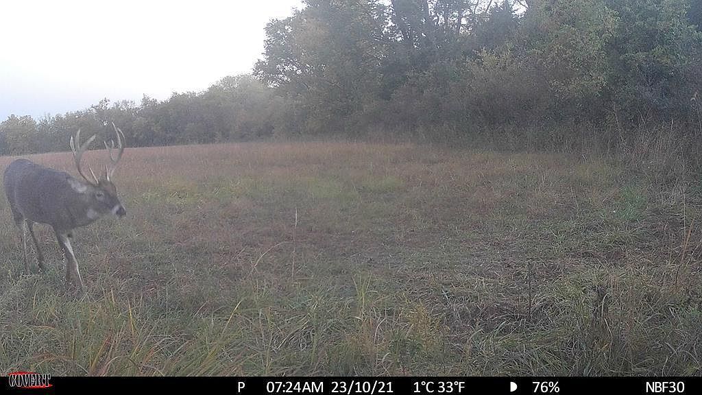 0 Us Highway 59, Stark, KS 66775 | Zillow