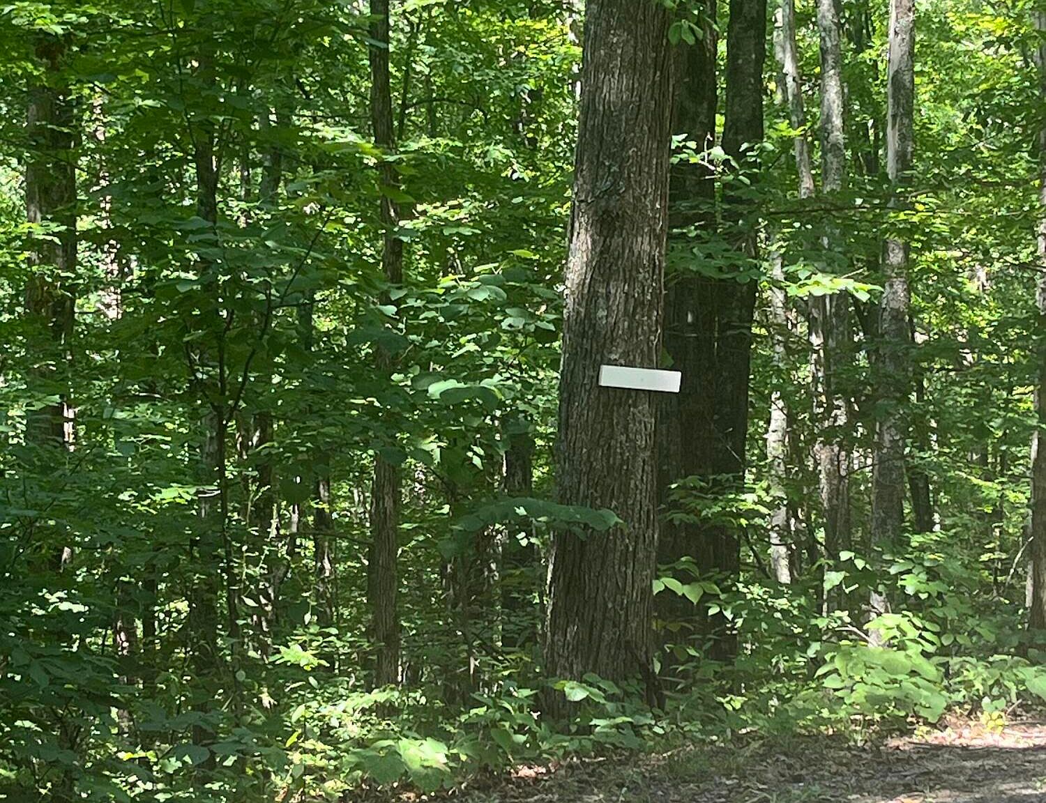 LOT 10 Windswept Cir, Newport, TN 37821 | MLS #307582 | Zillow