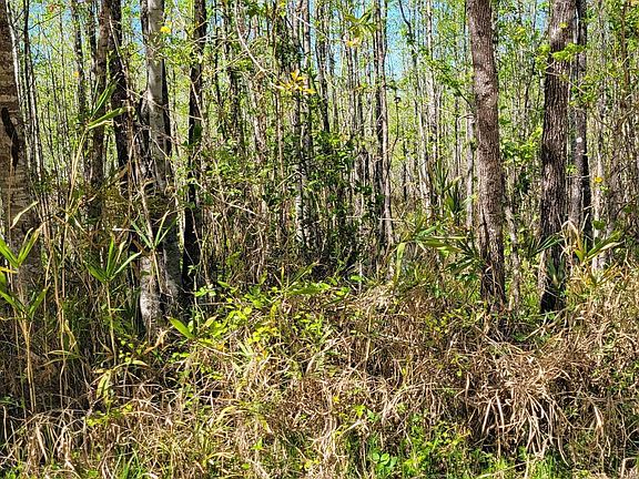 536 Harrels Rd #1, Coy, AL 36435 | MLS #21381824 | Zillow