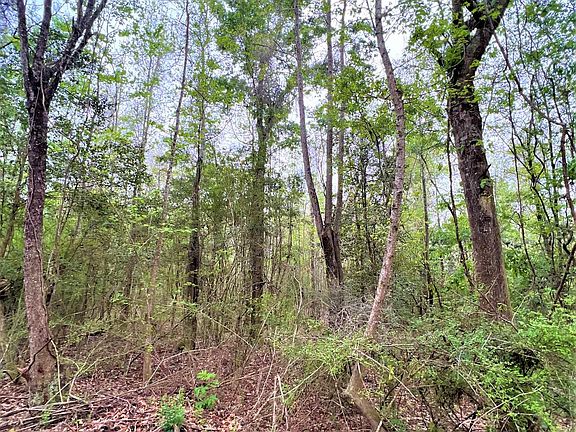 23646 Luke Hadley Rd, Atmore, AL 36502 | MLS #378810 | Zillow