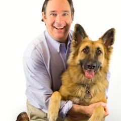 Christopher Bove - Real Estate Agent in Austin, TX - Reviews | Zillow