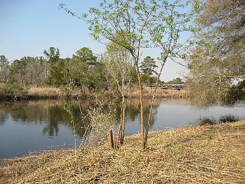 Ribault River Ln, Jacksonville, FL 32208 | Zillow