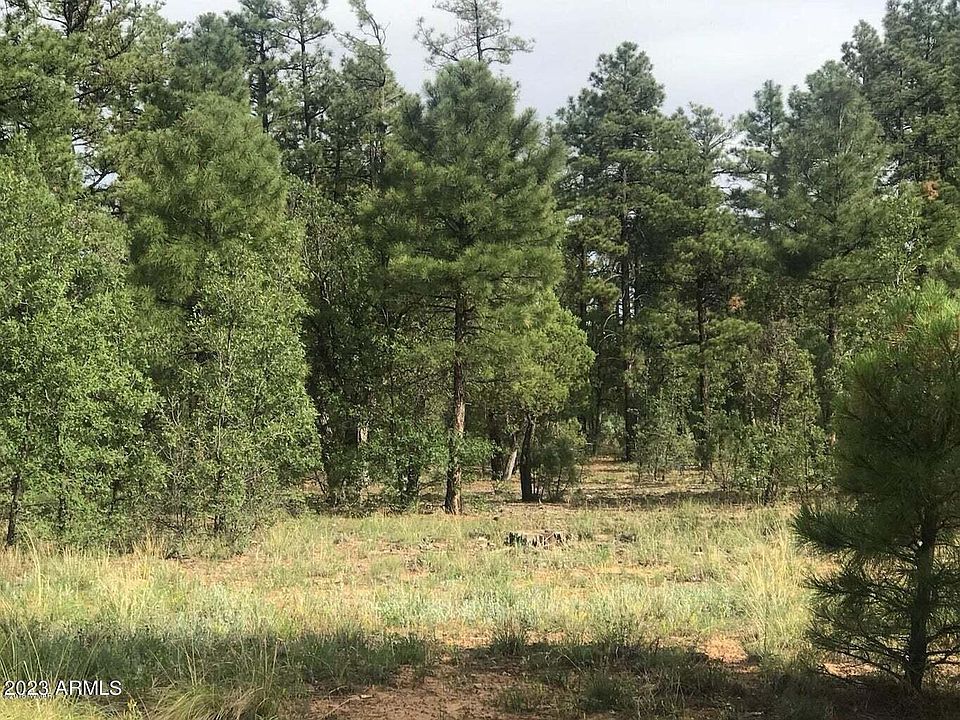 1781 W Deuce Of Clubs, Show Low, AZ 85901 | MLS #6598364 | Zillow