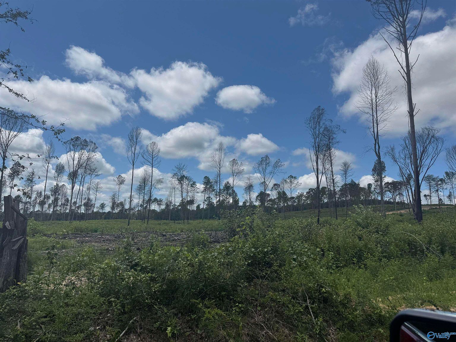 13 County Road 794, Gaylesville, AL 35973 | MLS #21896755 | Zillow