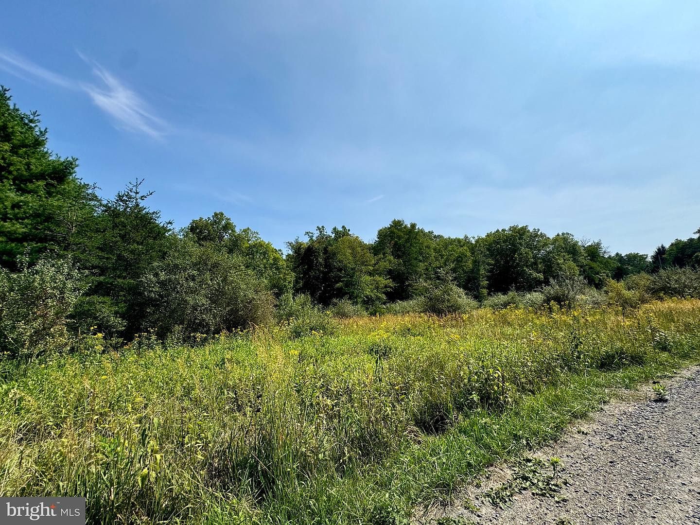 48 Warden Lake Holw #D, Wardensville, WV 26851 | MLS #WVHD2002682 | Zillow