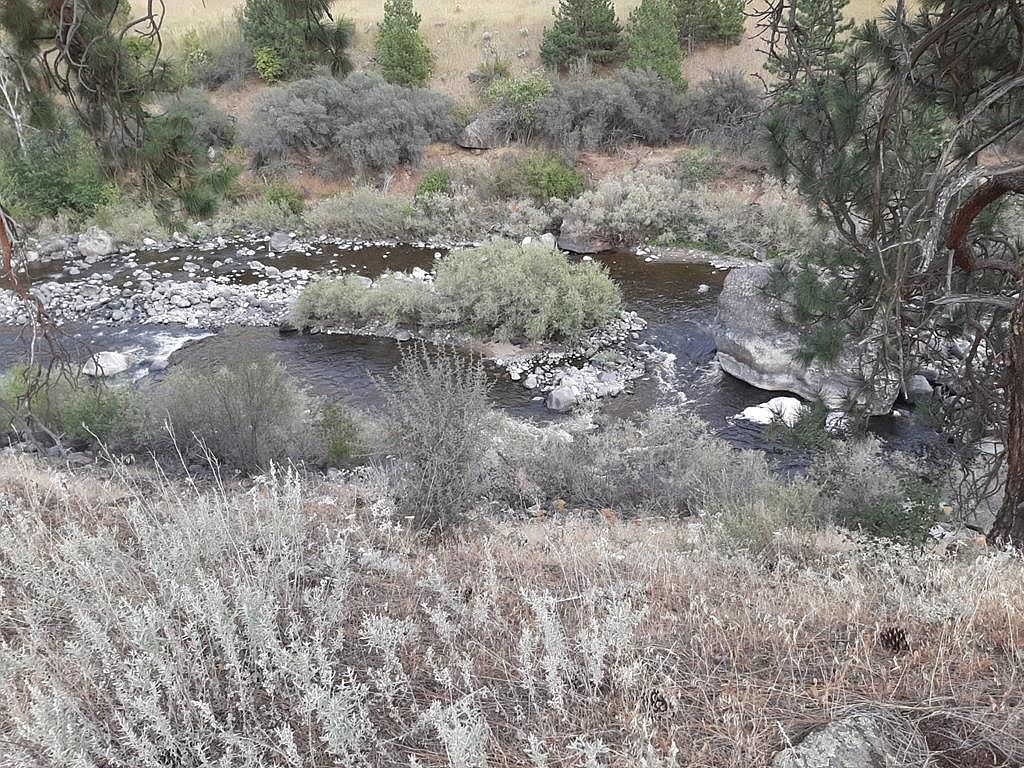 302 Pollock Rd, Pollock, ID 83547 | Zillow