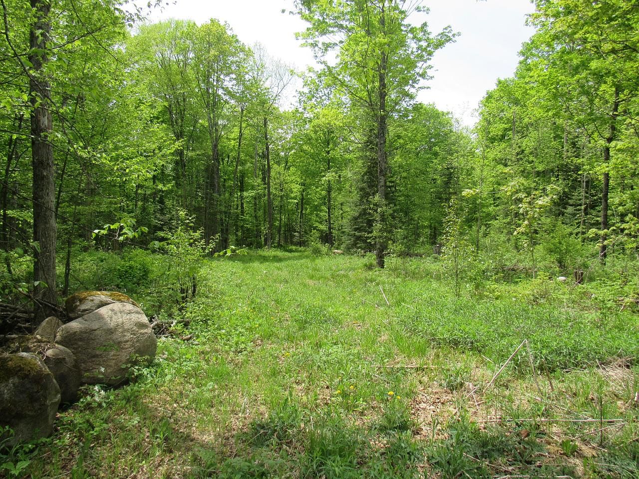 0 Trump Lake Rd, Wabeno, WI 54566 | Zillow