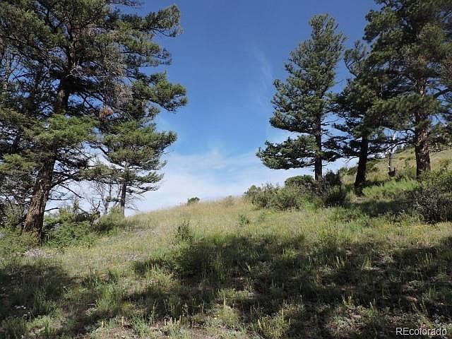 5803 Tagge Road Lot 5803, Fort Garland, CO 81133 | Zillow