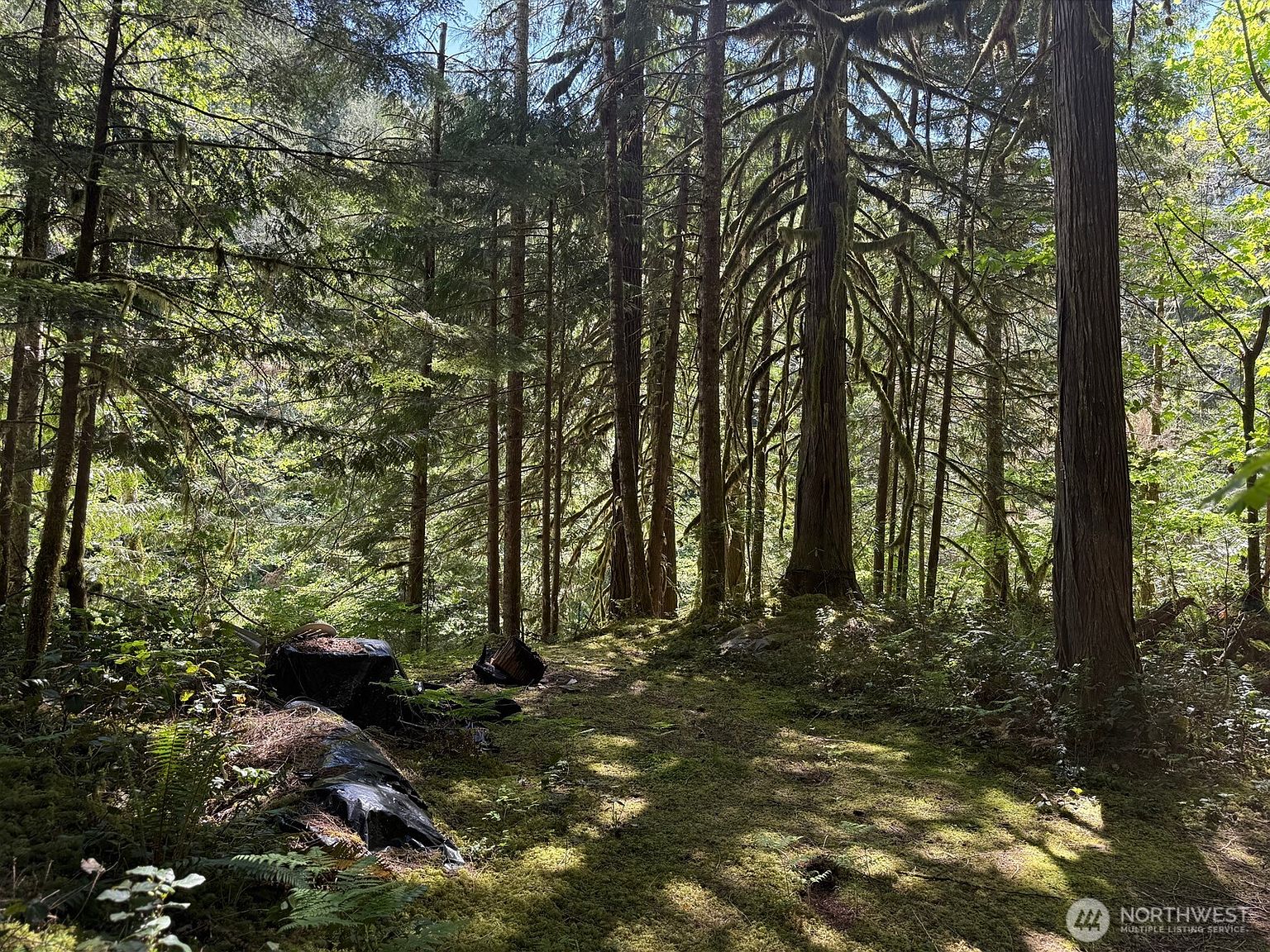 0 L 139 E Cascade Drive, Marblemount, WA 98267 | Zillow